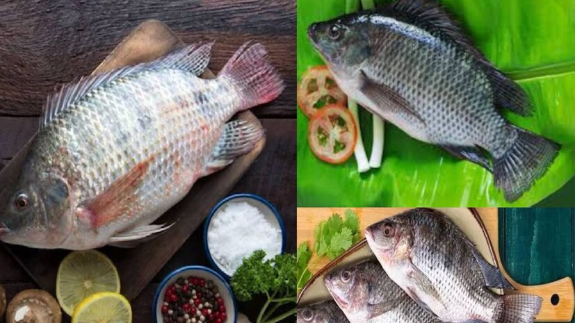 Harmful Fish: পেটে গেলেই চরমে হার্ট অ্যাটাক-স্ট্রোক-হাঁপানির ঝুঁকি ...
