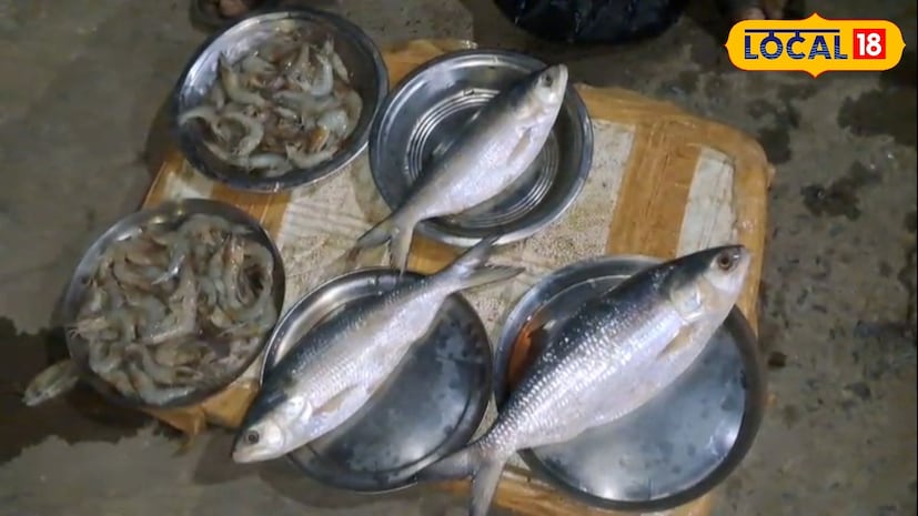 Fishes: কেজিতে নয়, থালায় বিকোচ্ছে মাছ...! রুই, কাতলা, কালবোস, মৃগেল ...