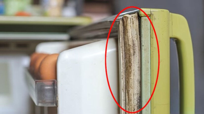 Fridge Door Rubber: ফ্রিজের দরজার 'রাবার' কালো-চ্যাটচ্যাটে...! ৩ মিনিটে ...