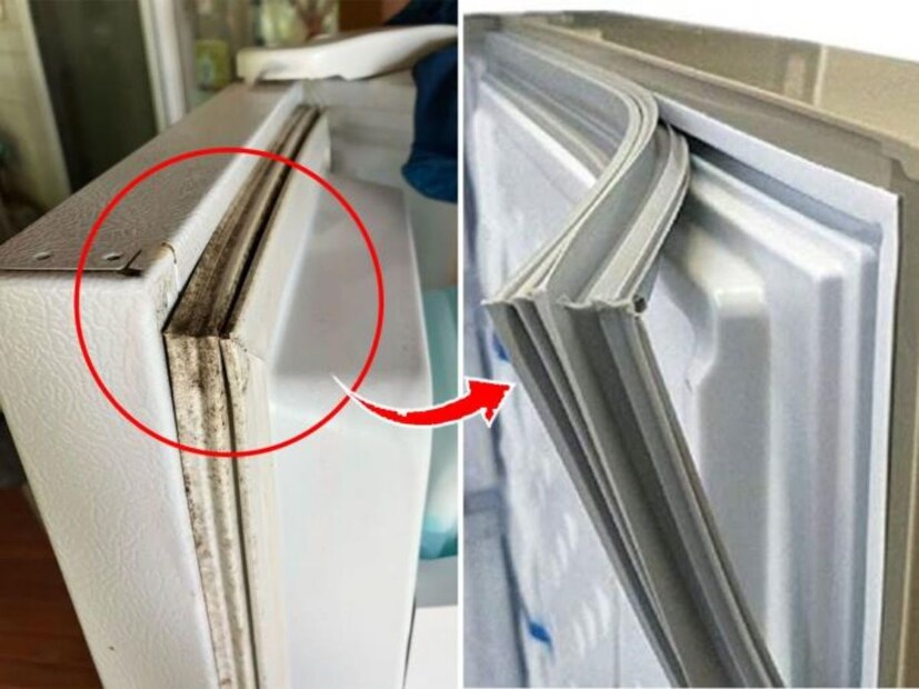 Fridge Door Rubber: Fridge door Rubbery Gasket turned black sticky with ...