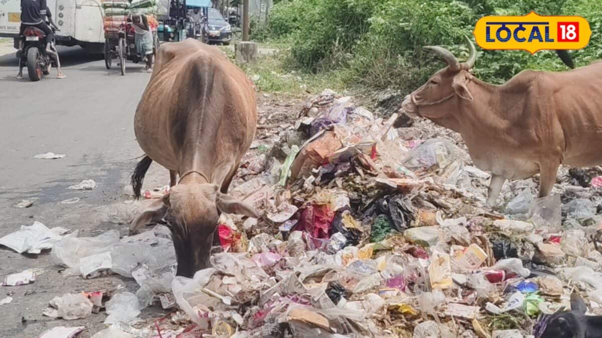 Jalpaiguri Municipality: জঞ্জাল হঠাতে আসছে নয়া অ্যাপ! ২ ঘণ্টাতেই সাফ ...