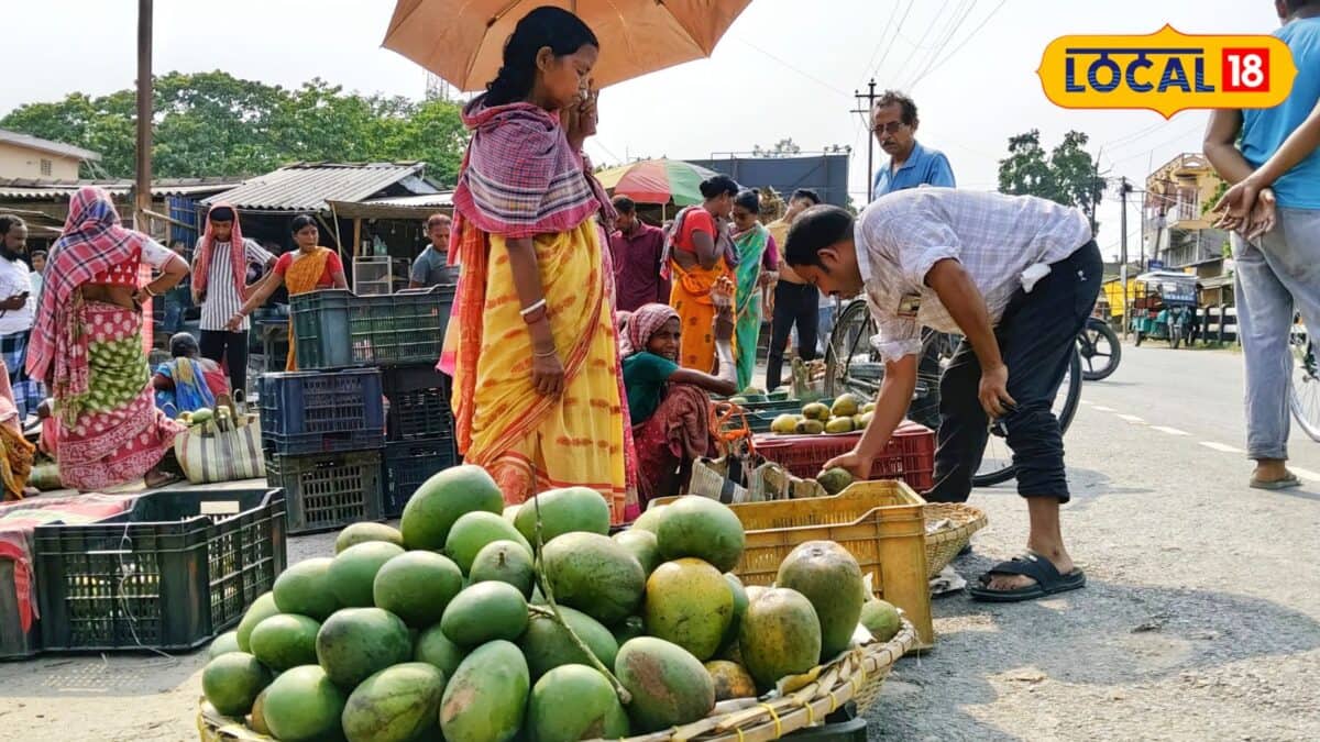 Mango Price: ২-৩০ টাকা, জলের দরে বিকোচ্ছে মালদহের বিখ্যাত লক্ষ্মণভোগ ...
