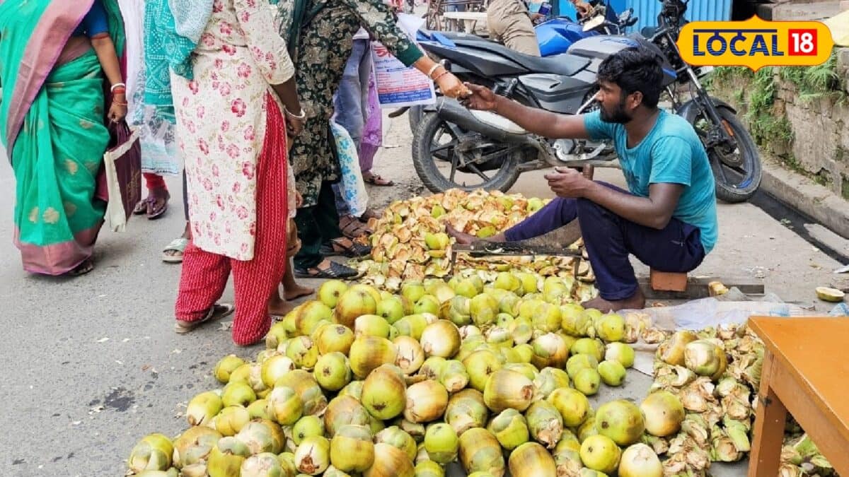 Ice Apple Benefits: ডায়াবেটিস রোগীদের জন্য অমৃত 'এই' ফল, গরমে খেলে ...