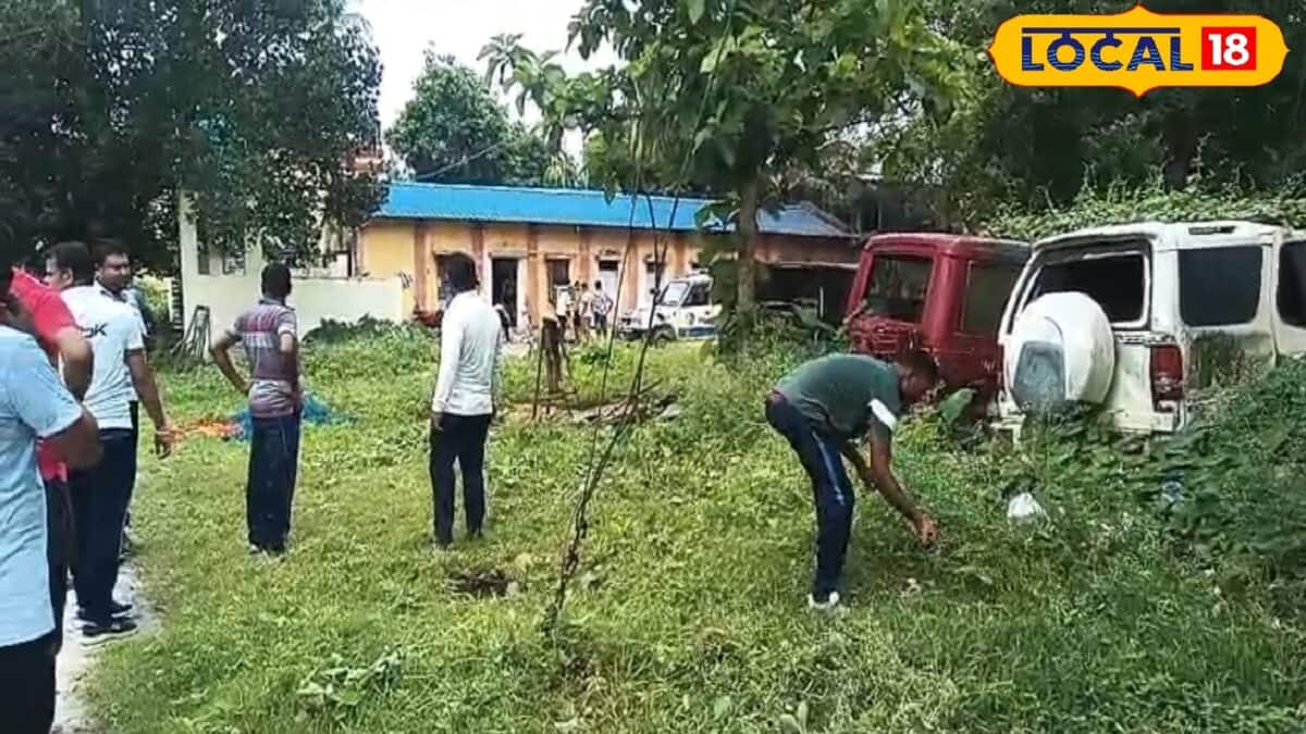 Nadia News: হাতে ঝাড়ু-কোদাল নিয়ে হাজির খোদ বড়বাবু, প্রতি রবিবার ...