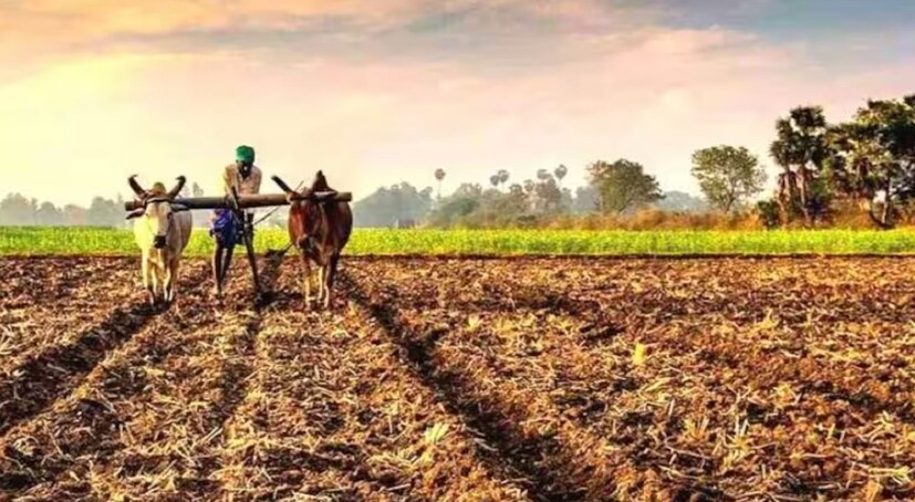PM Kisan ২৩তম কিস্তি ২০২৬: জুনে আসতে পারে ₹২,০০০, eKYC না করলে আটকে ...