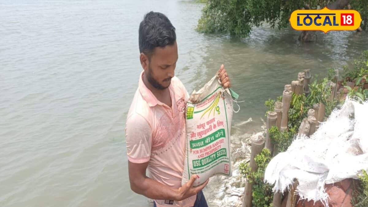South 24 Parganas News: নদীতে ভাসছে সর্ষে, মুগ ও সূর্যমুখী বীজের বস্তা ...