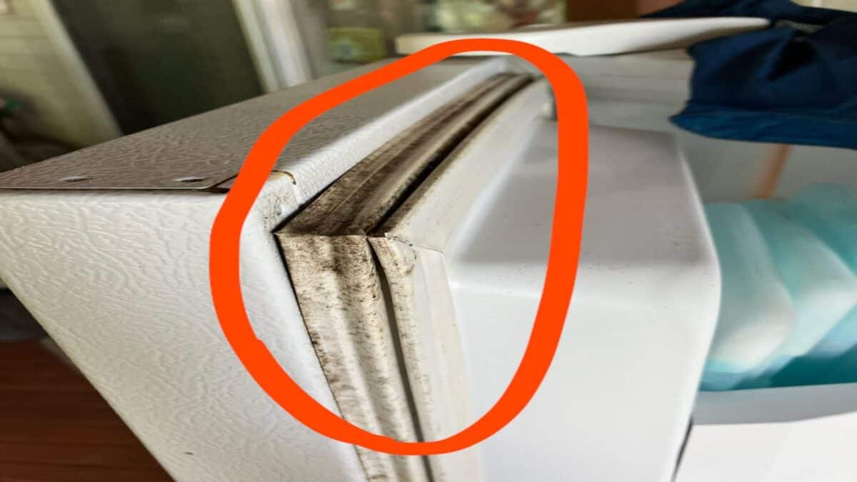 Fridge Door Rubber: Fridge door Rubbery Gasket turned black sticky with ...