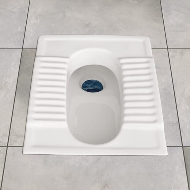 Indian vs Western Toilet: কমোড না দেশি? কোষ্ঠকাঠিন্য, অর্শ কমাতে কোন ...