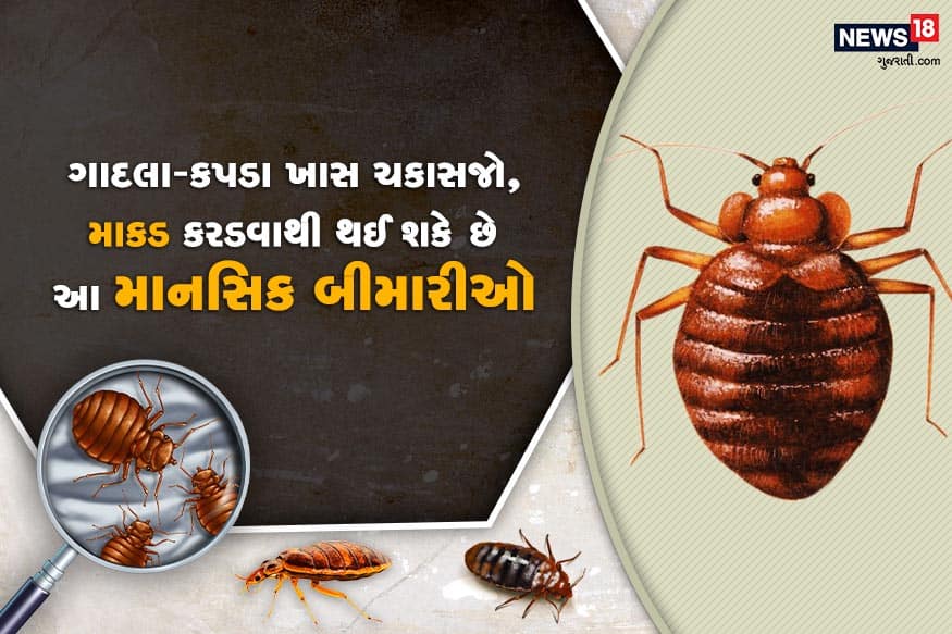 ગાદલાં-ગોદડાને જરૂર તપાસો, ખતરનાક હોય છે તેમાંથી નીકળતા માંકડ – News18 ...