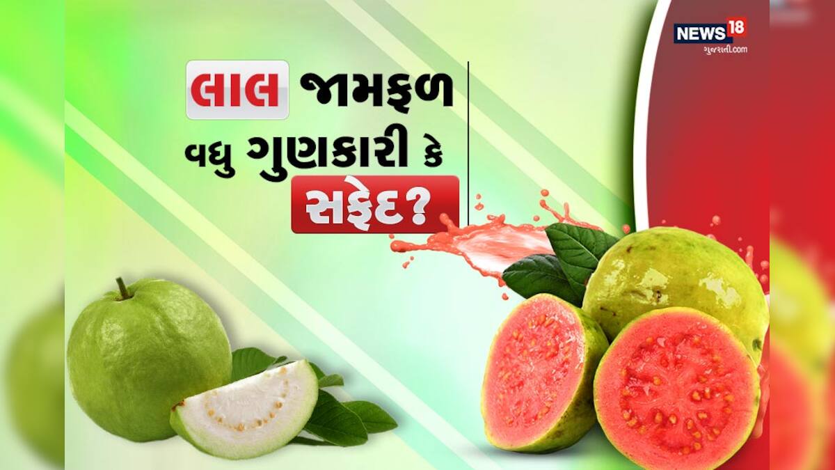 લાલ જામફળ વધુ ગુણકારી કે સફેદ? સાથે જાણો જામફળ ખાવાના 5 ફાયદા – News18 ...
