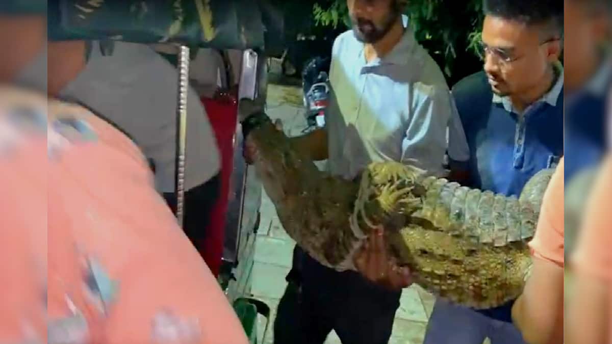 Vadodara crocodile Rescue from salatwada Area from Monsoon jm News18 ...