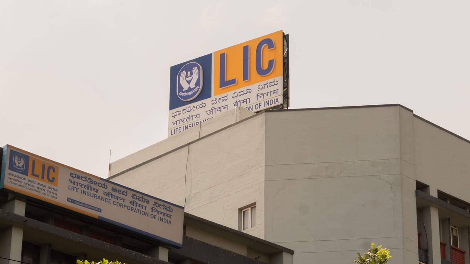 LIC Jeevan Labh: LICની શાનદાર સ્કીમ, દરરોજ માત્ર રૂ. 251ની ચૂકવણી કરીને ...