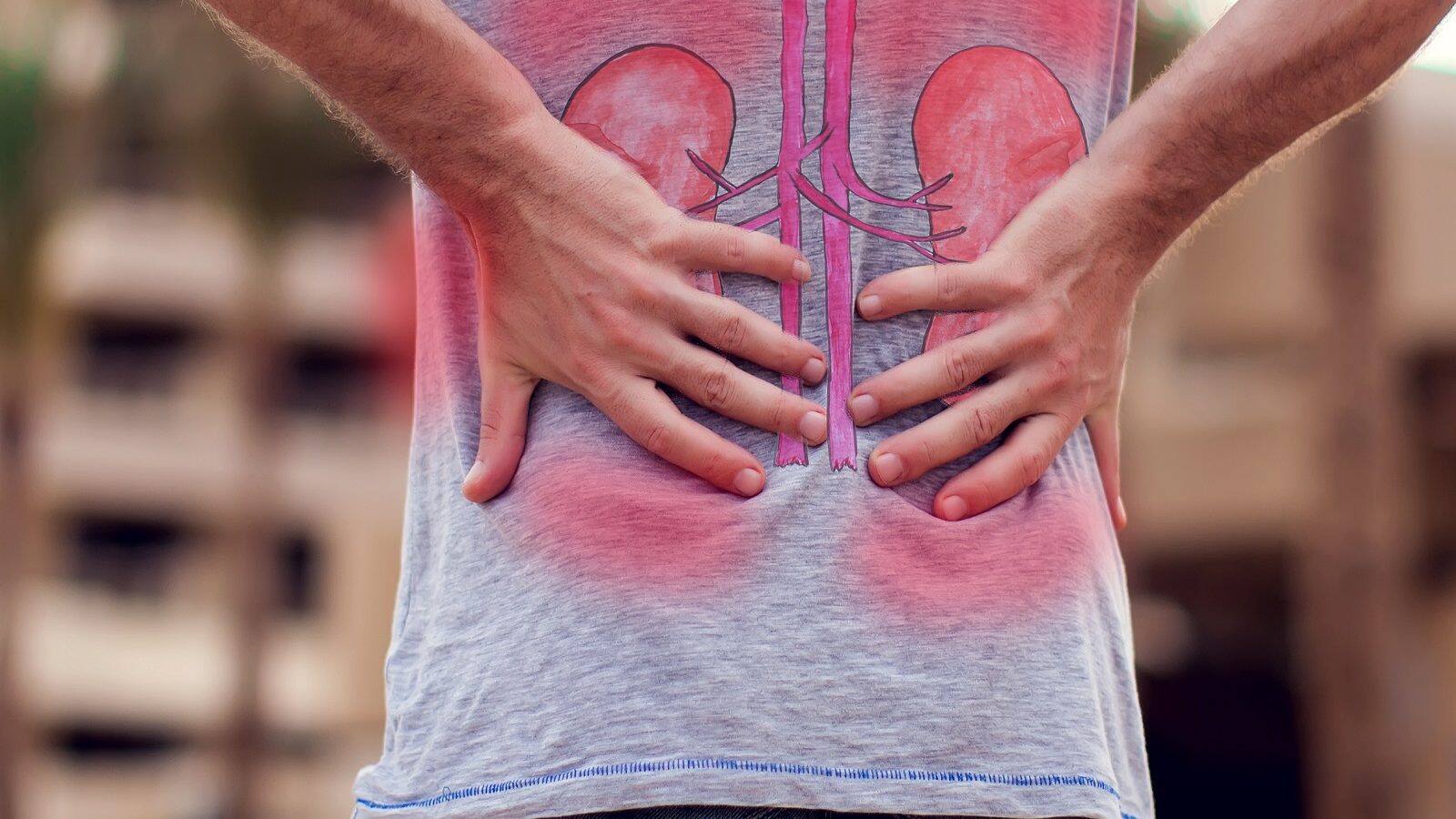 What Is Kidney Test Its Types GFR Check Details what-is-kidney-test-its-types-gfr-check-details
