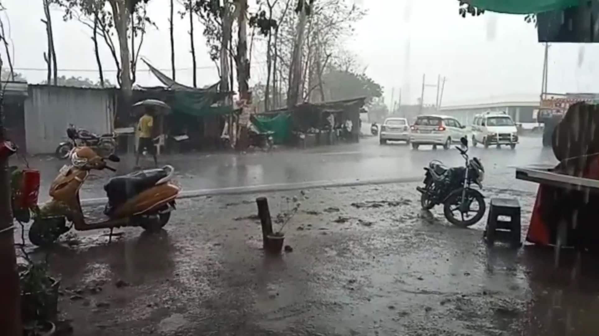 Valsad Monsoon: વલસાડ જિલ્લામાં વરસાદી માહોલ, કપરાડા તાલુકામાં ધોધમાર ...