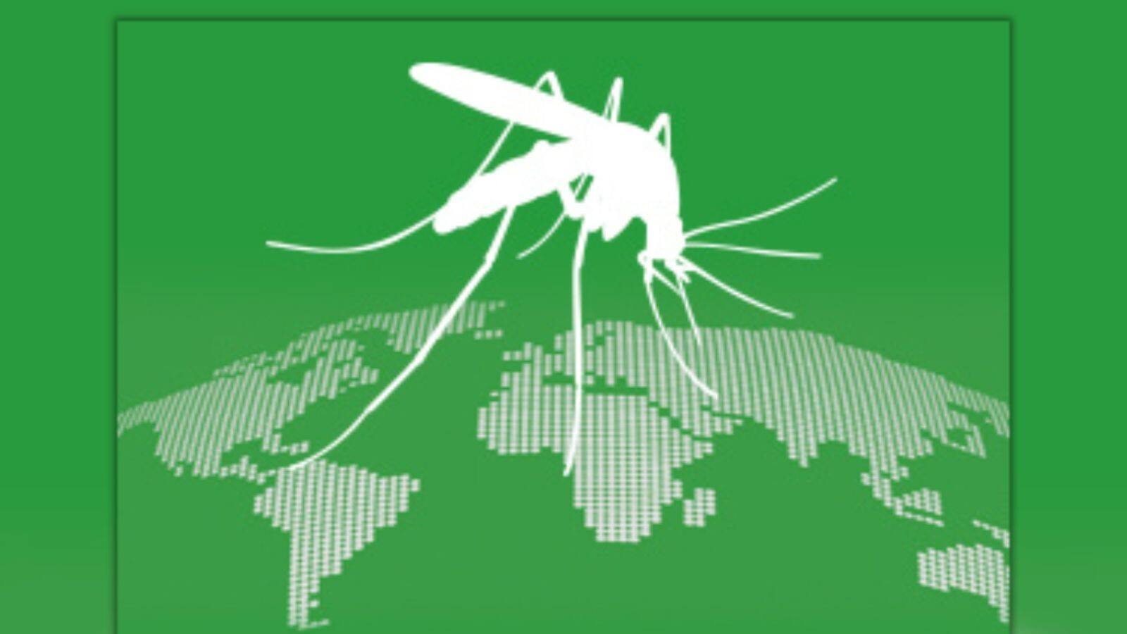 World Pest Day Find out why World Insect Day is celebrated history ...
