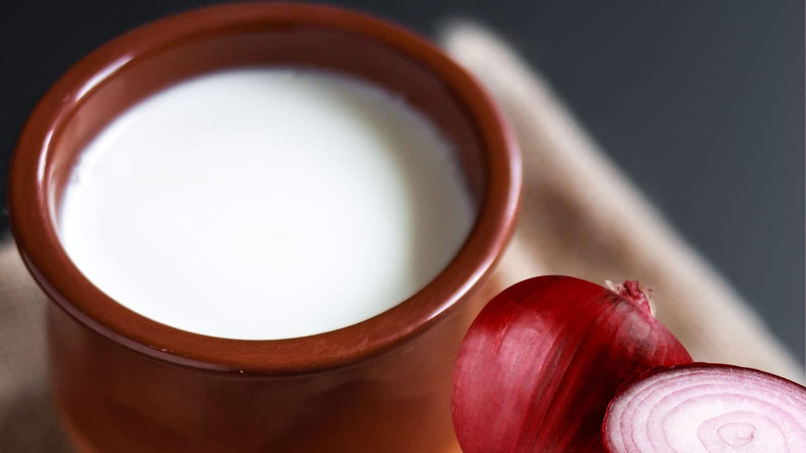 Health Benefits of Curd and Onion in gujarati rv - દહી અને ડુંગળી ...