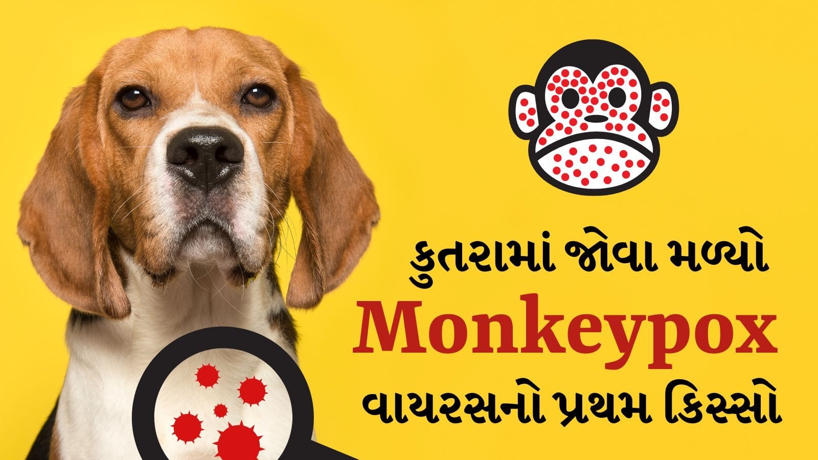 Monkeypox in Dog human-to-dog-transmission-of-monkeypox-virus-who-gh-rv ...
