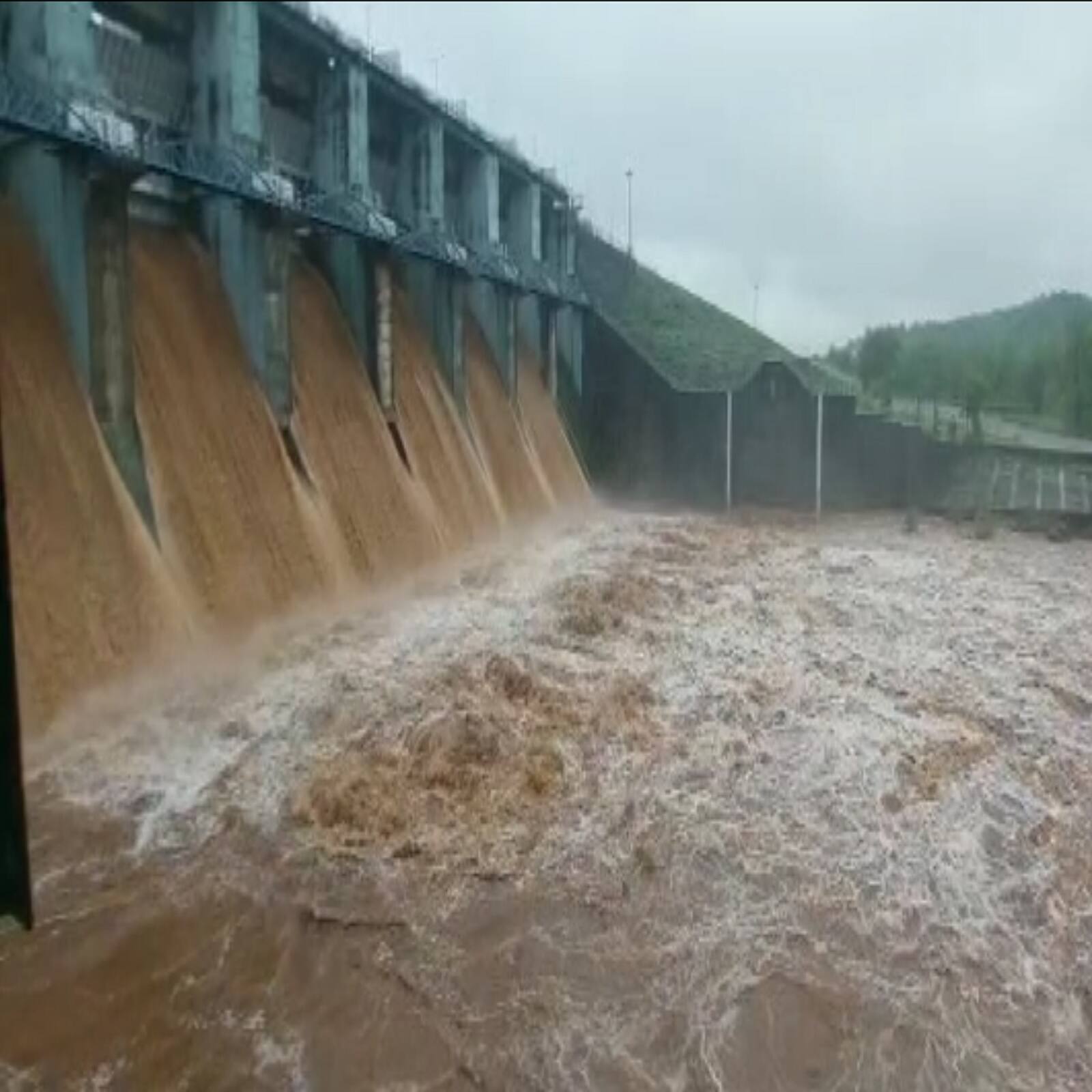 More than 9 inches of rain fell in Umarpada in 24 hours - ઉમરપાડામાં 24 ...