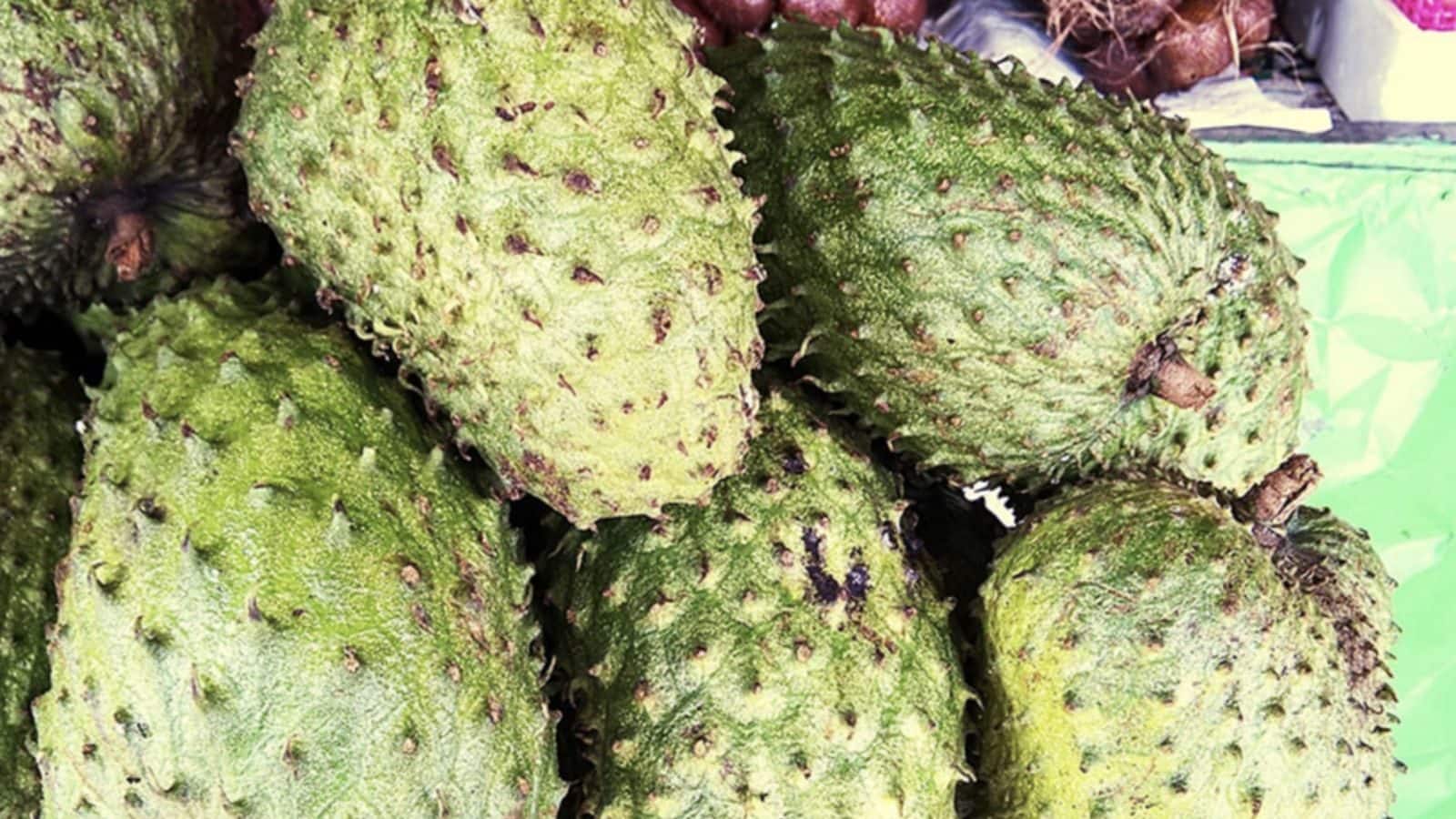 Hanuman phal health benefits in gujarati rv - Hanuman phal Benefits ...