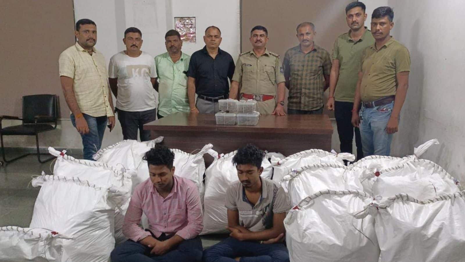 Surat: Ganja worth 30 lakhs was hidden in a hut, two accused arrested ...