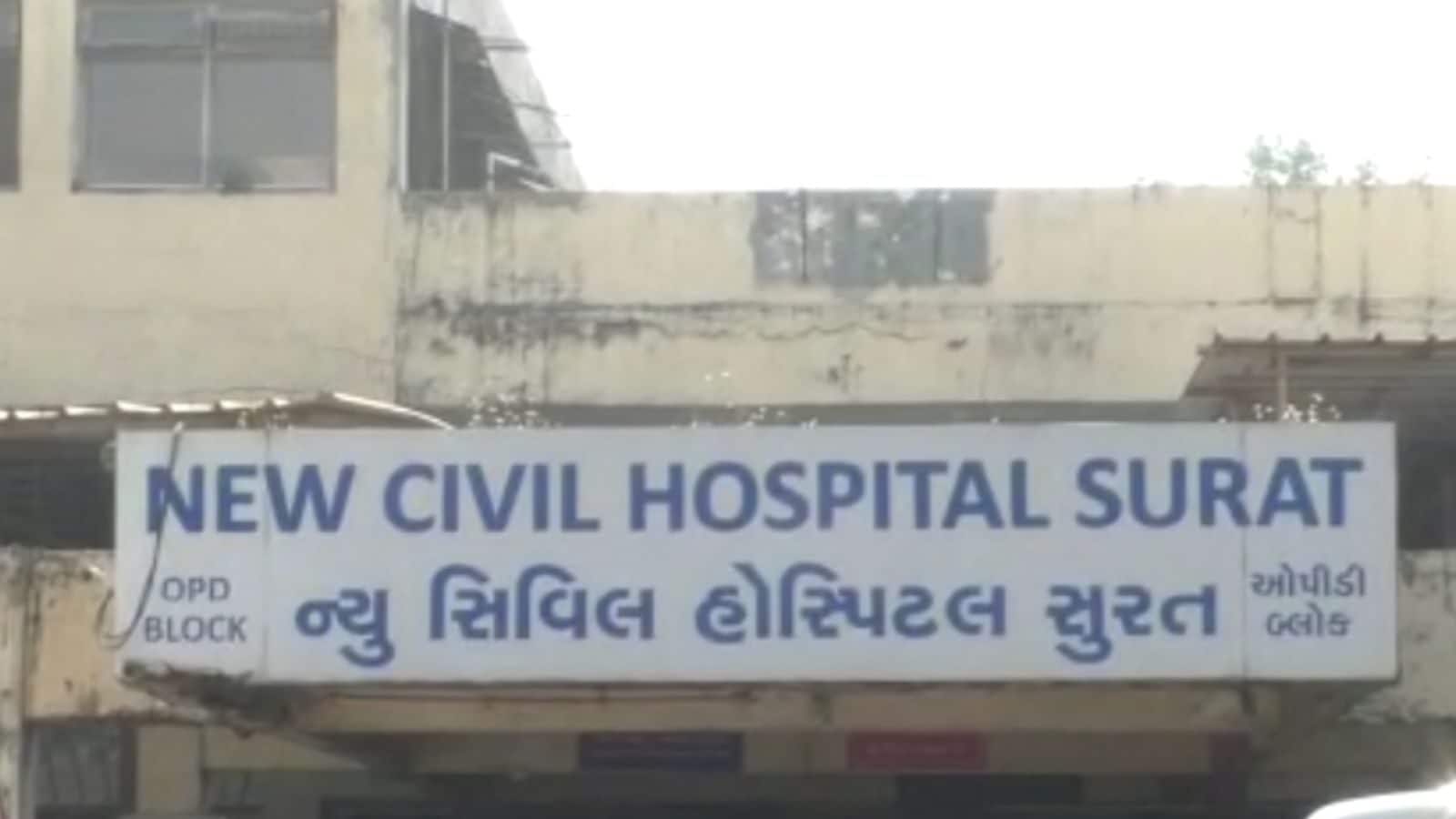 સુરતમાં ડોગ બાઈટના કેસોમાં વધારો - Increase in dog bite cases in Surat ...