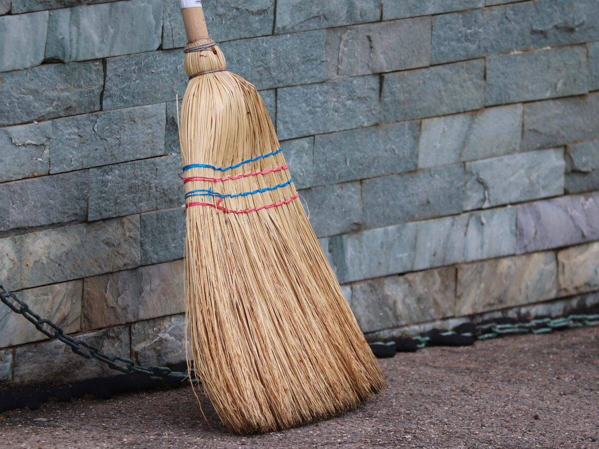 તુલસી પાસે ભૂલથી પણ ન મુકો આ 5 વસ્તુ, ઘરમાં આવશે દરિદ્રતા – News18 ગુજરાતી