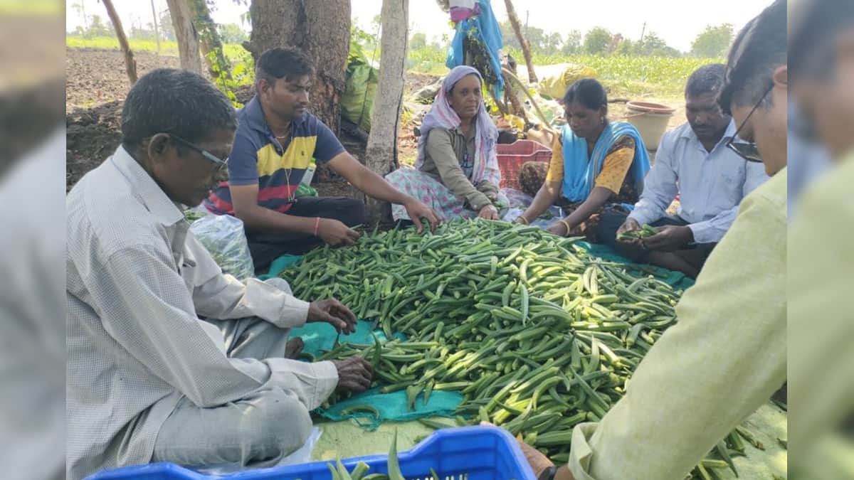 Tapi News: જો ઉત્પાદન ન મળતું હોય તો આ રીતે કરો ખેતી, તાપીના ખેડૂતે કરી ...