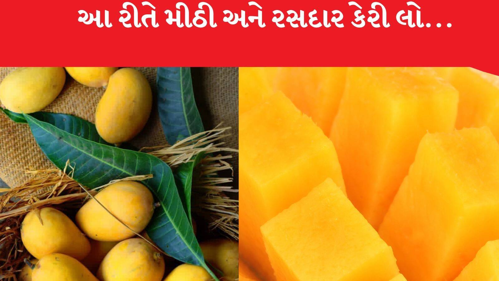 આ રીતે કેરી લેશો તો બધી મીઠી નિકળશે - How to identify sweet mangoes ...