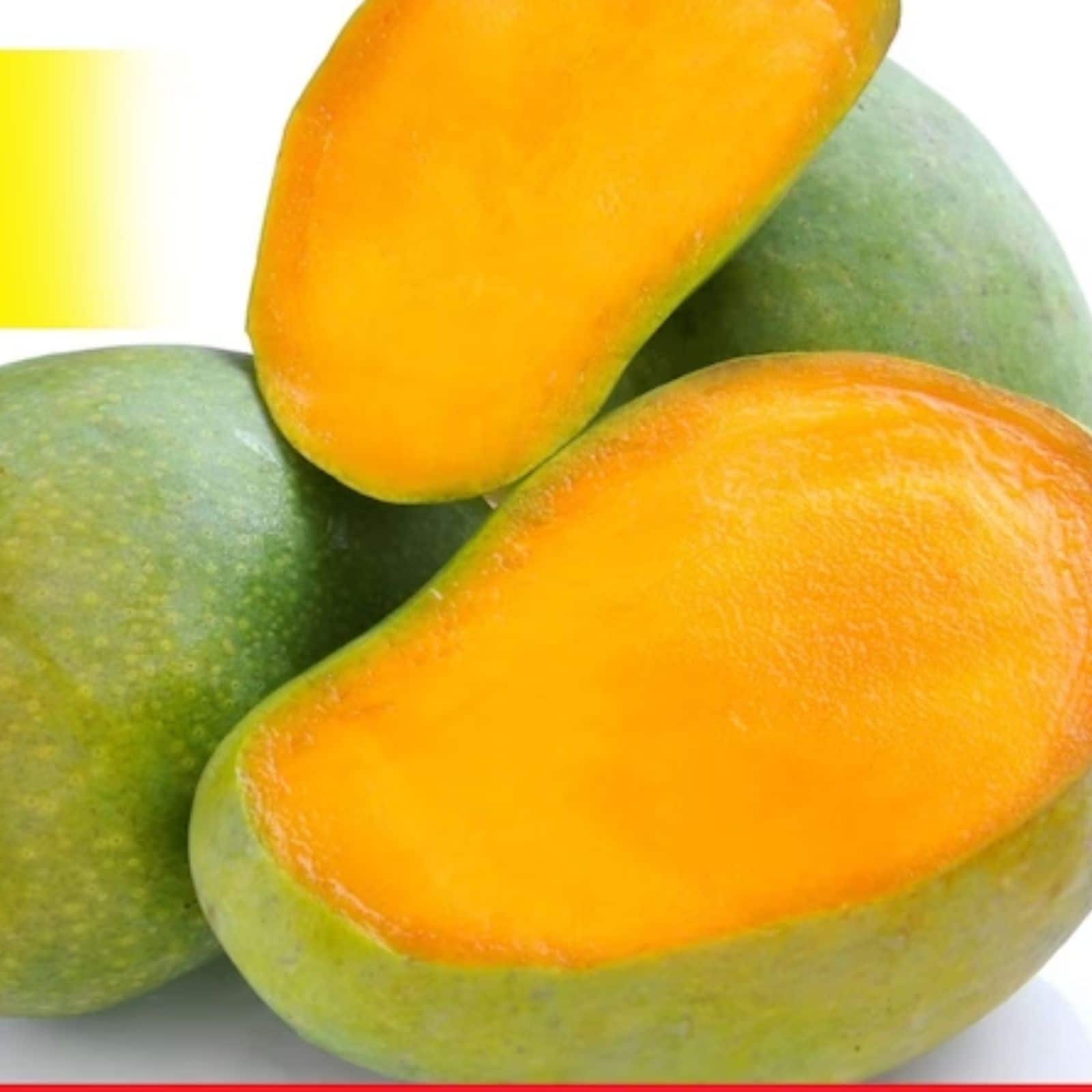 Know the indian 10 famous mango varieties - જાણો ભારતની 10 ફેમસ કેરી ...