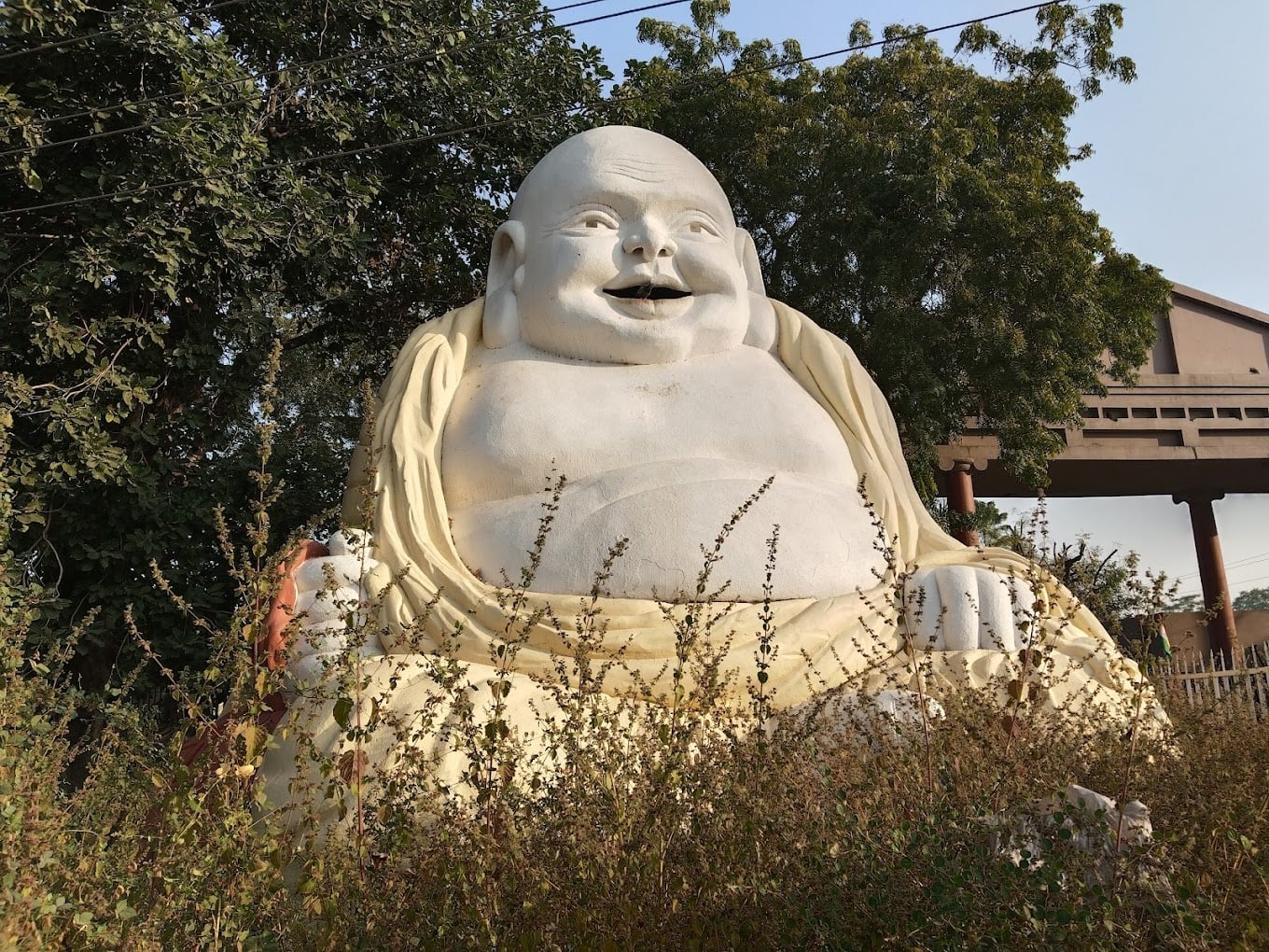 Ahmedabad News : શું સિગ્નેચર ફાર્મ ખરેખર એક ભૂતિયા સ્થળ છે ? આવો જાણીએ ...