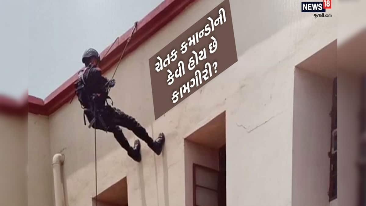 ગુજરાત પોલીસના Chetak Commando આવી રીતે કરે છે કામ, જાણો તેમાં કેટલી ...