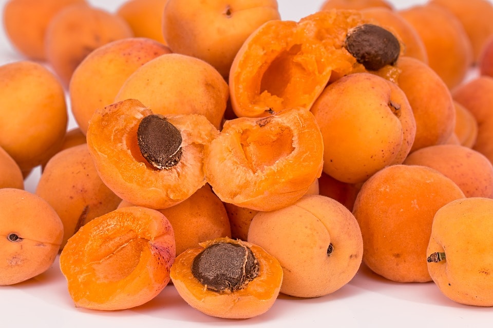 Apricot in gujarati store