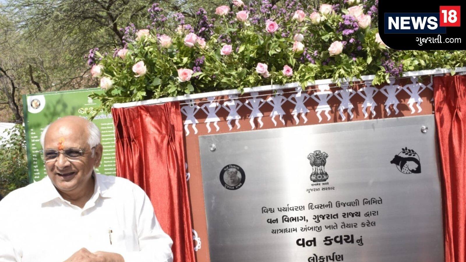 અંબાજીમાં વિશ્વ પર્યાવરણ દિવસની રાજ્યકક્ષાની ઉજવણી, મુખ્યમંત્રીએ વન ...