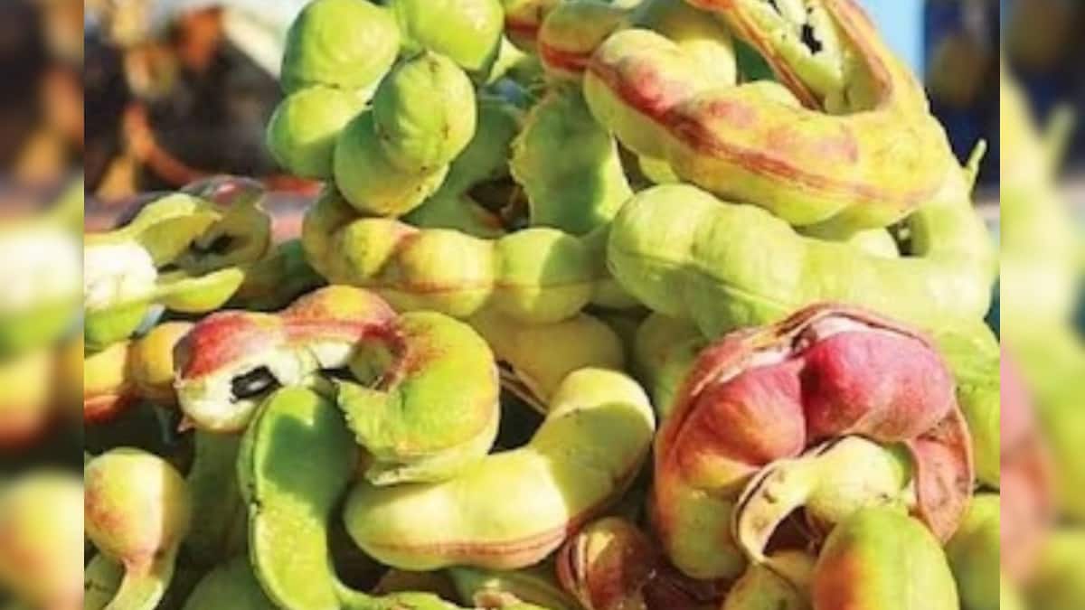 જંગલમાં જોવા મળતા આ અનોખા ફ્રુટને ખાવાથી કેટલાય ફાયદા, પેટ સંબંધિત ...