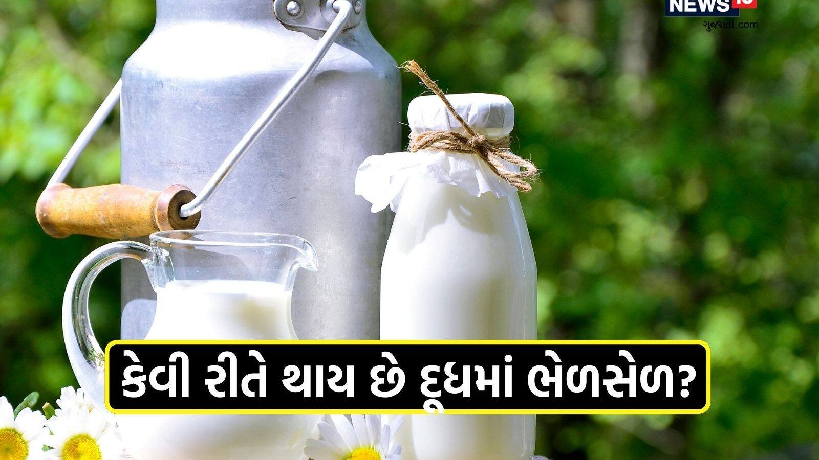 આ દૂધ નથી ઝેર છે, સફેદ અમૃતમાં ભેળસેળ છે કે નહીં આ તપાસો - how polluted ...