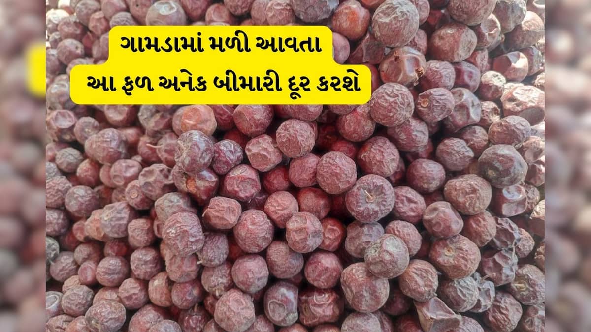 ગામડામાં મળી રહેતા આ નાના એવા ફળથી કેન્સર અને હાર્ટ એટેક નહીં આવે, ફક્ત ...