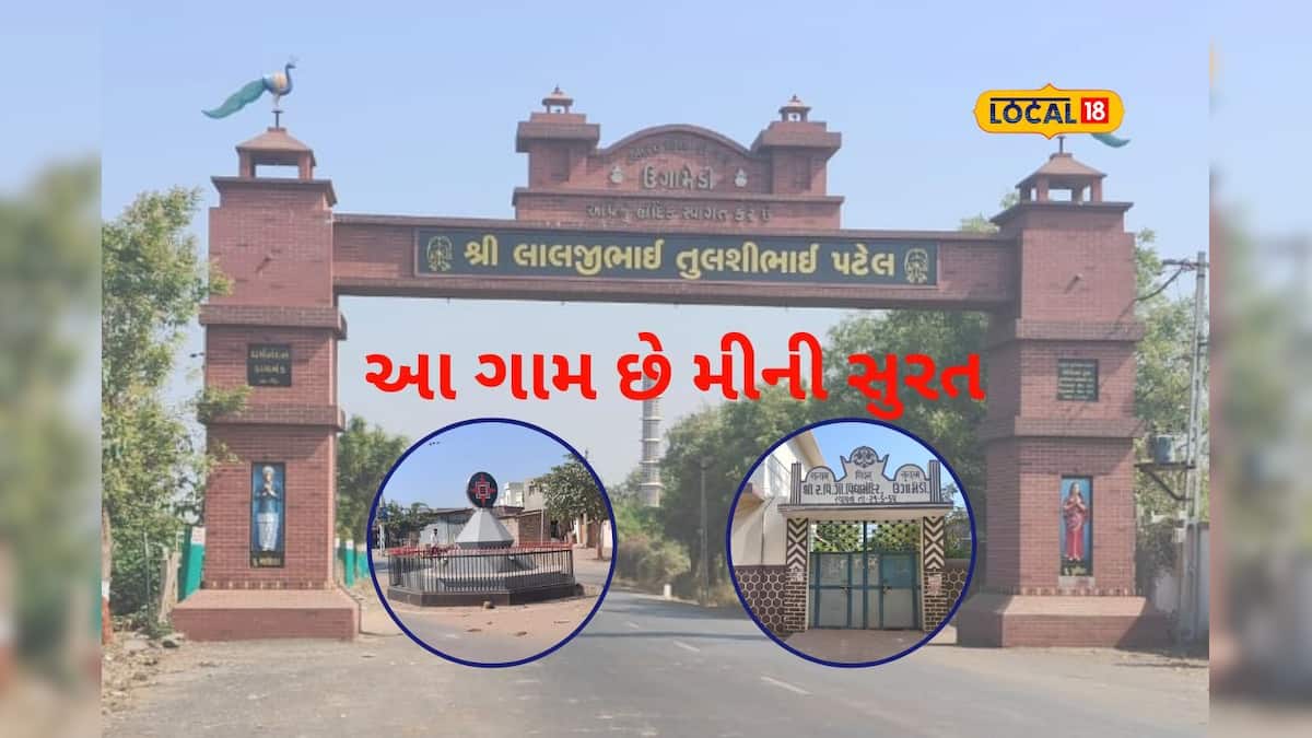 બોટાદ જિલ્લાનું ઉગામેડી ગામ 15 હજાર લોકોને રોજગારી આપે છે-Ugamedi ...