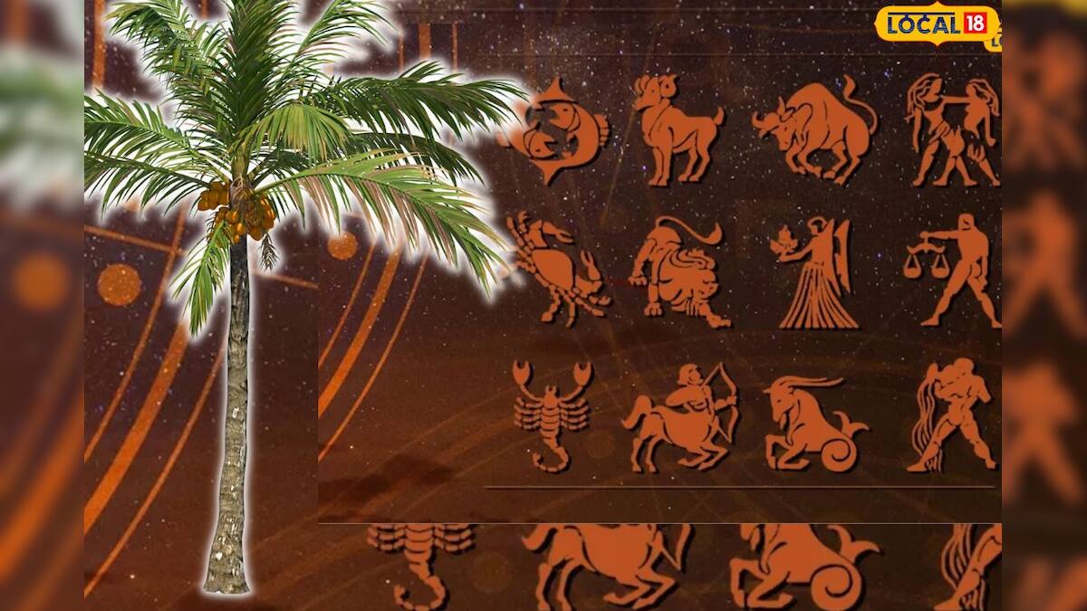 આંગણામાં રાશિ પ્રમાણે વાવેલો છોડ ફાયદો કરાવશે, જાણો તમારે ક્યો છોડ ...