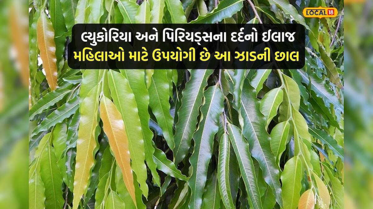 લ્યુકોરિયા અને પિરિયડ્સના દુખાવાથી પરેશાન મહિલાઓ માટે રામબાણ ઈલાજ છે આ ...