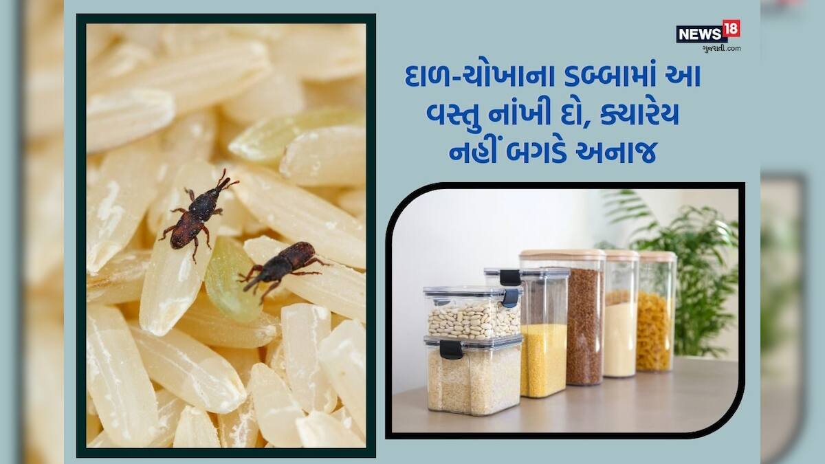 how to remove weevils from rice - દાળ-ચોખામાં એકપણ જીવાત નહીં પડે ...