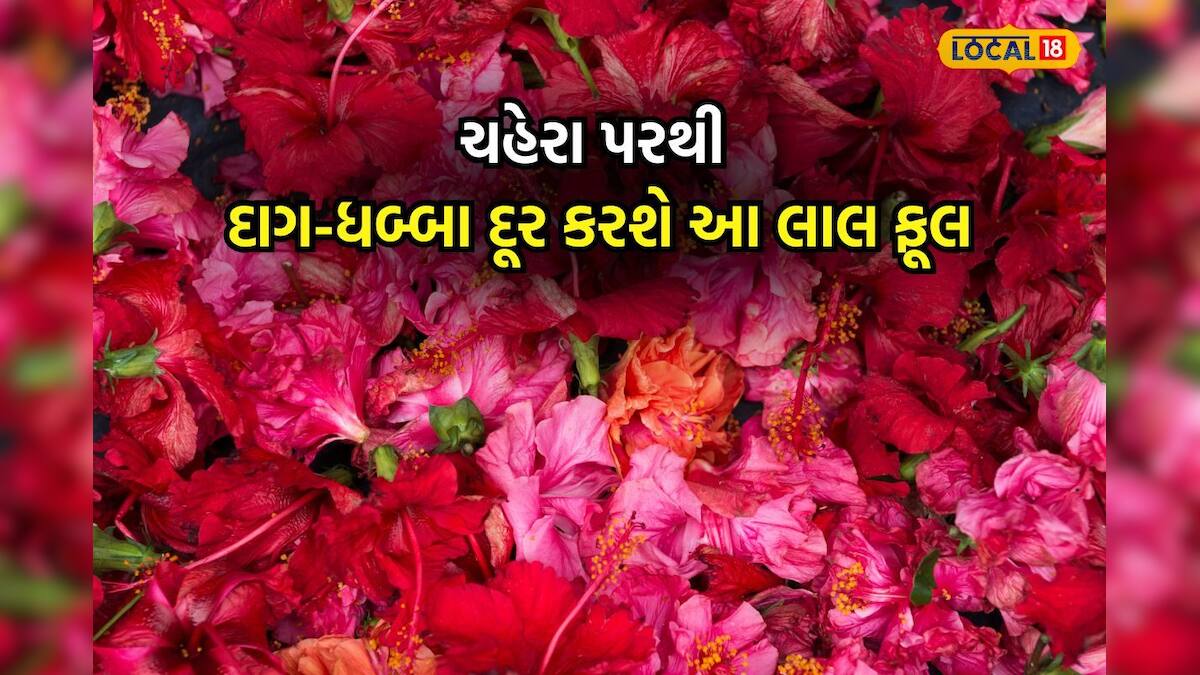 ચહેરાના દાગ-ધબ્બા દૂર કરી દેશે આ લાલ ફૂલ! વાળને મજબૂત, લાંબા બનાવવા ...