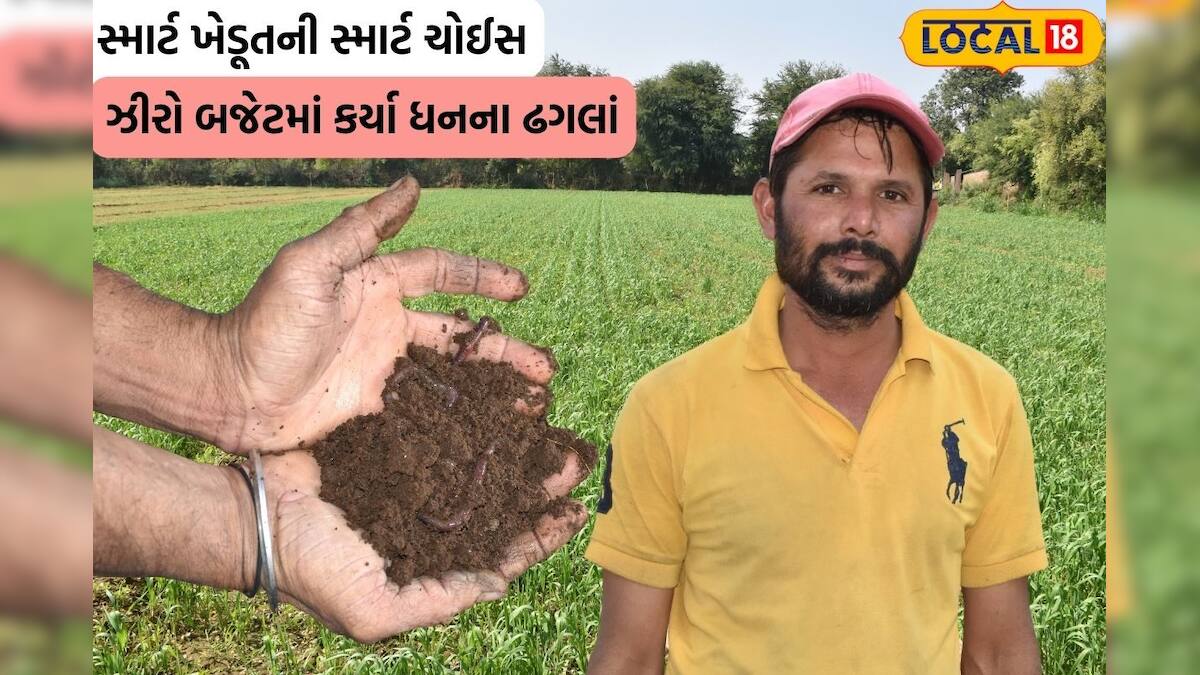 પ્રગતિશીલ ખેડૂતની સ્માર્ટ ચોઈસ: કરી નક્ષત્ર આધારિત પ્રાકૃતિક ખેતી, ઝીરો ...