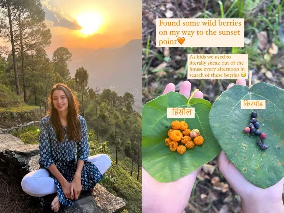 Must watch Tripti dimri hometown pics in Uttarakhand - પહાડોની વચ્ચે ...