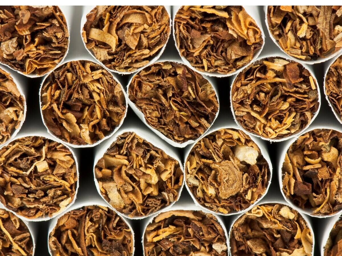 1 બીડી = 2 સિગારેટ! બેમાંથી કયું છે વધુ નુકસાનકારક? ડોક્ટરે જણાવ્યું ...