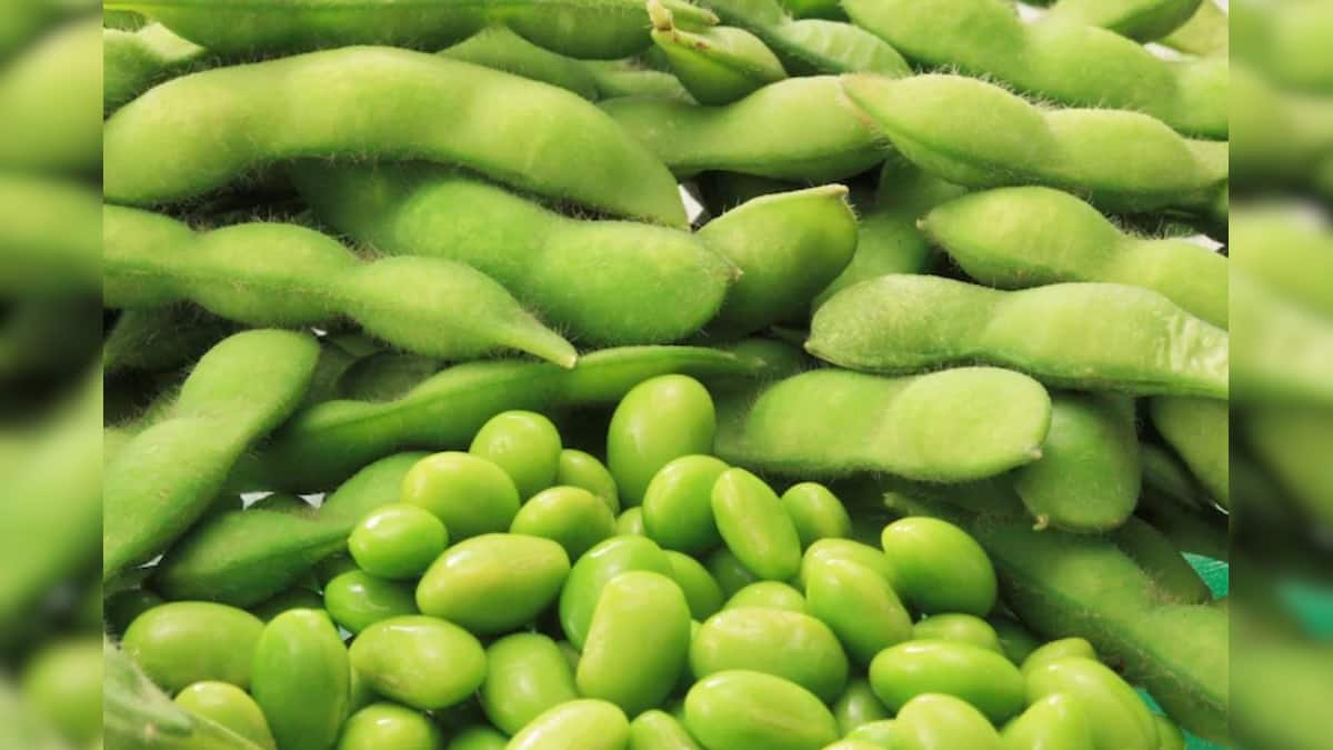 શરીરમાં ચોટેલા ગંદા કોલેસ્ટ્રોલને ખતમ કરી દેશે આ શાકભાજી, શુગર પણ ...