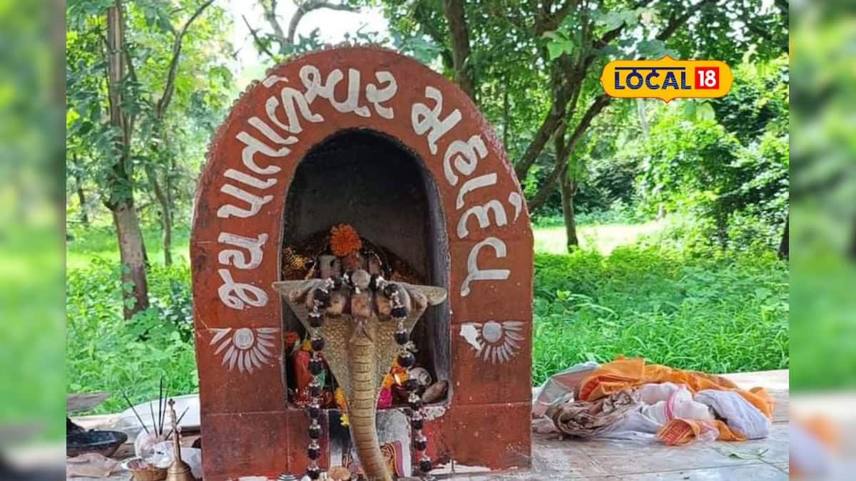ગીર જંગલમાં પાતાળેશ્વર મહાદેવનું મંદિર આવેલું છે - Gir forest ...