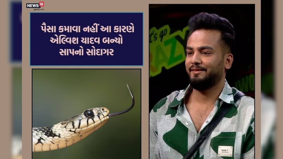 elvish yadav snake venom case -પૈસા કમાવા નહીં આ કારણે રેવ પાર્ટીમાં ...