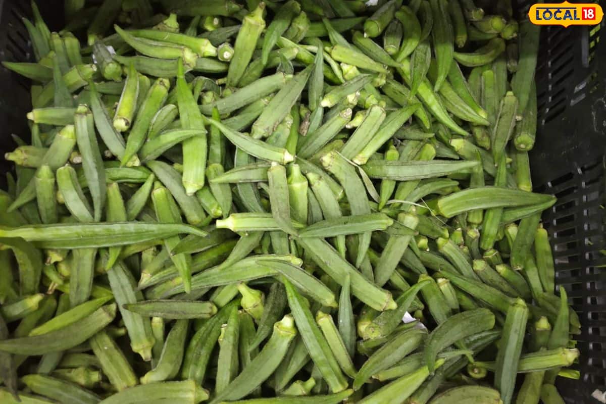 અમદાવાદ APMCમાં રીંગણ, તુવેર અને ટામેટા સહિતના શાકભાજી મોંઘા થયા, જાણો ...