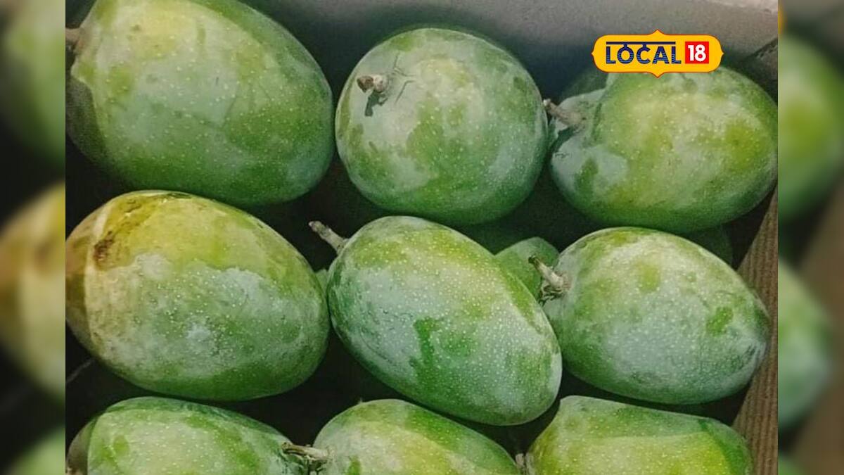 કેસર કેરીનાં આજના ભાવ - Today price of kesar keri