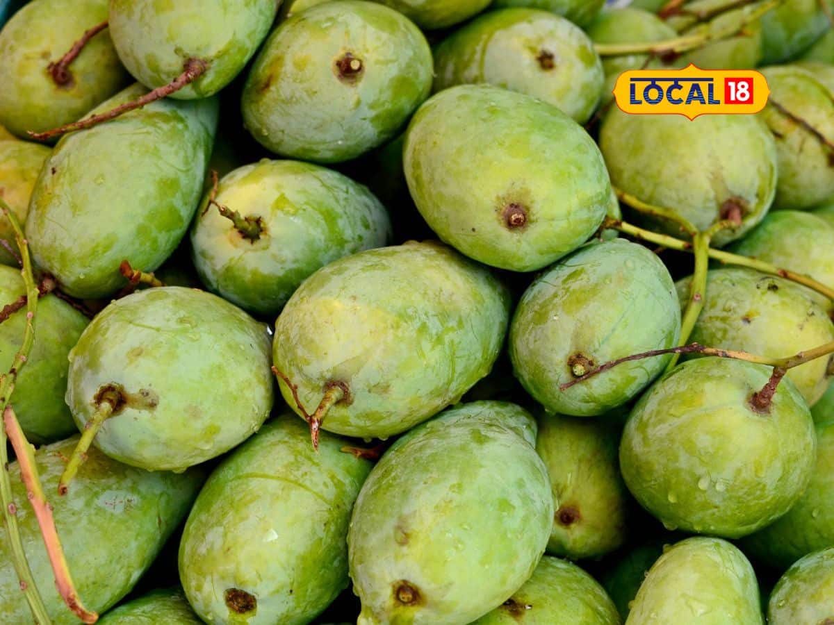 પોરબંદરમાં કેસર કેરીની બમ્પર આવક - kesar keri bumper income in ...